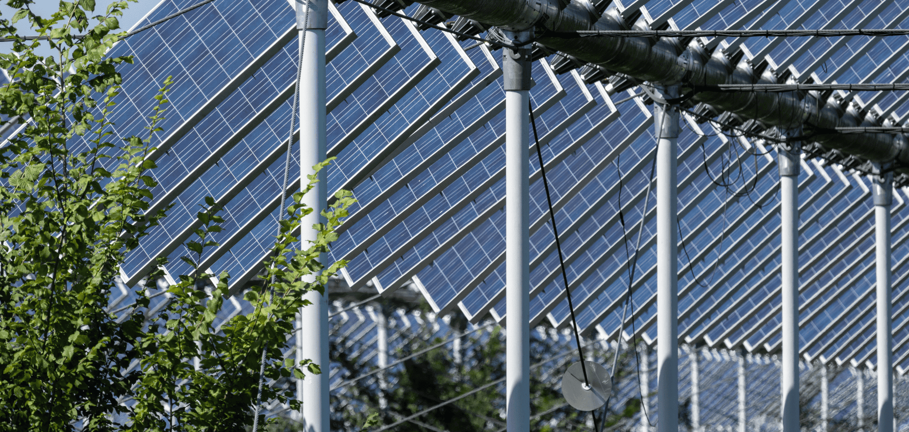 Agrivoltaico: quell'energia che migliora la resa dei campi | ènostra